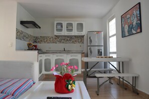 Master Suite | Cozinha privada | Um frigorífico no espaço comum