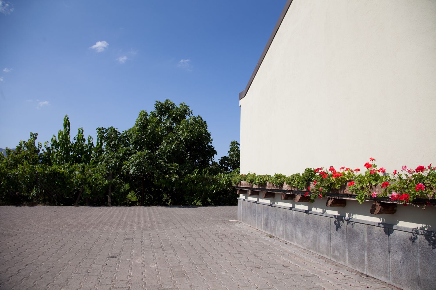 Um pátio pavimentado com um edifício branco de um lado e uma fileira de árvores e flores do outro.