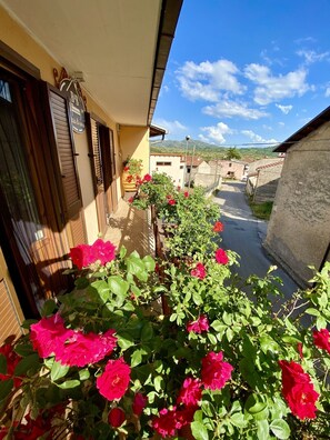 Terraço/pátio interior