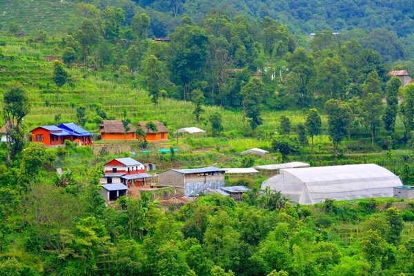 Indreni Organic Farm And Homestay - Hostel - Pokhara