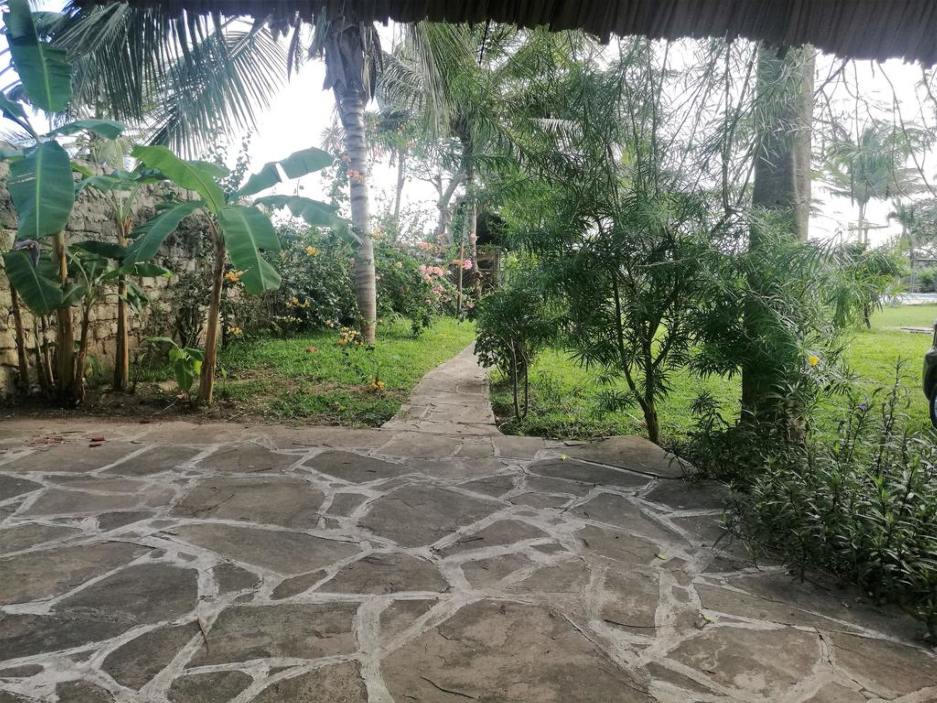 Um caminho de pedra serpenteia por um jardim exuberante, com diversas plantas e árvores.