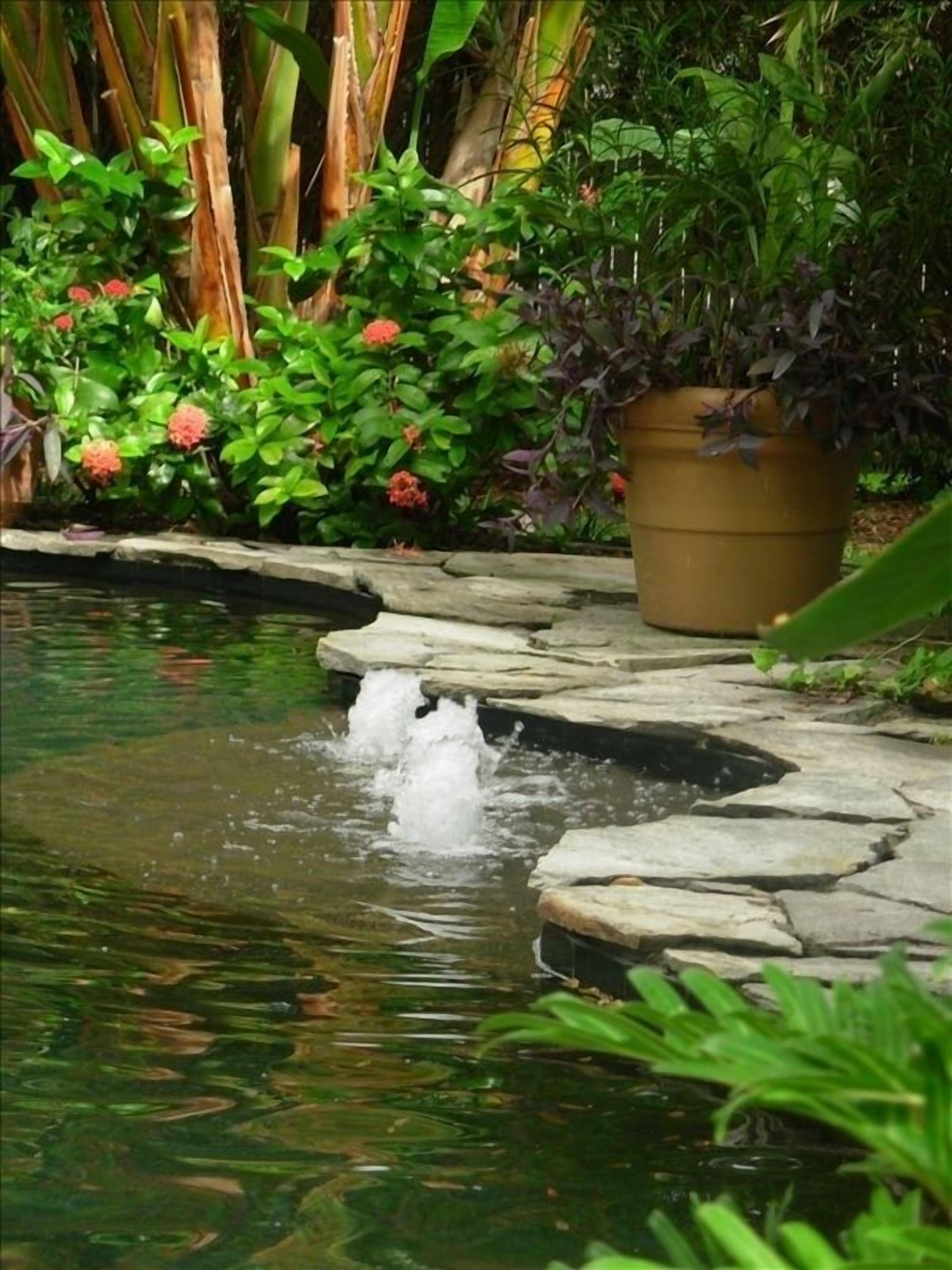 41 Best Vrbo Accommodations In Dunedin, Florida - Updated 2024 | Trip101
