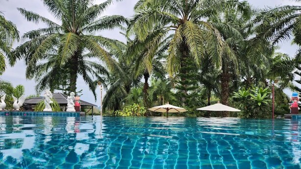 Piscina azul límpida rodeada por palmeiras e guarda-sóis.