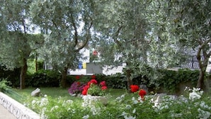 Um jardim com várias plantas e flores, um muro de pedra e um edifício ao fundo.