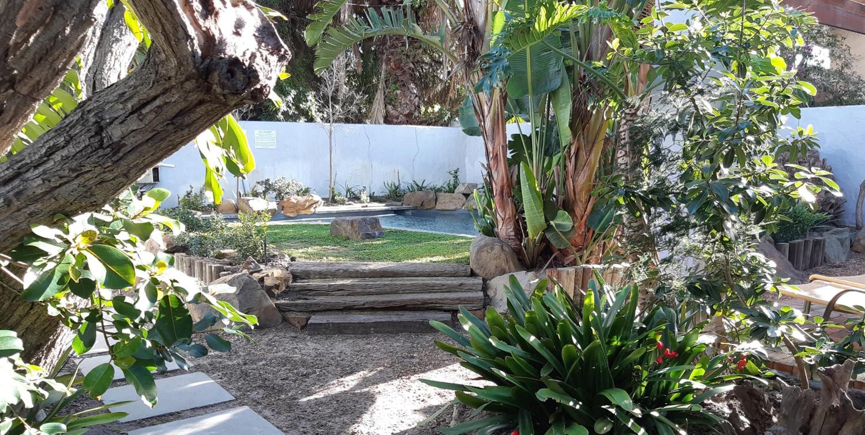 Um jardim com uma pequena piscina, rodeado por diversas plantas e um banco de madeira.