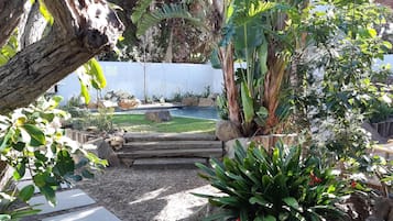Um jardim com uma pequena piscina, rodeado por diversas plantas e um banco de madeira.