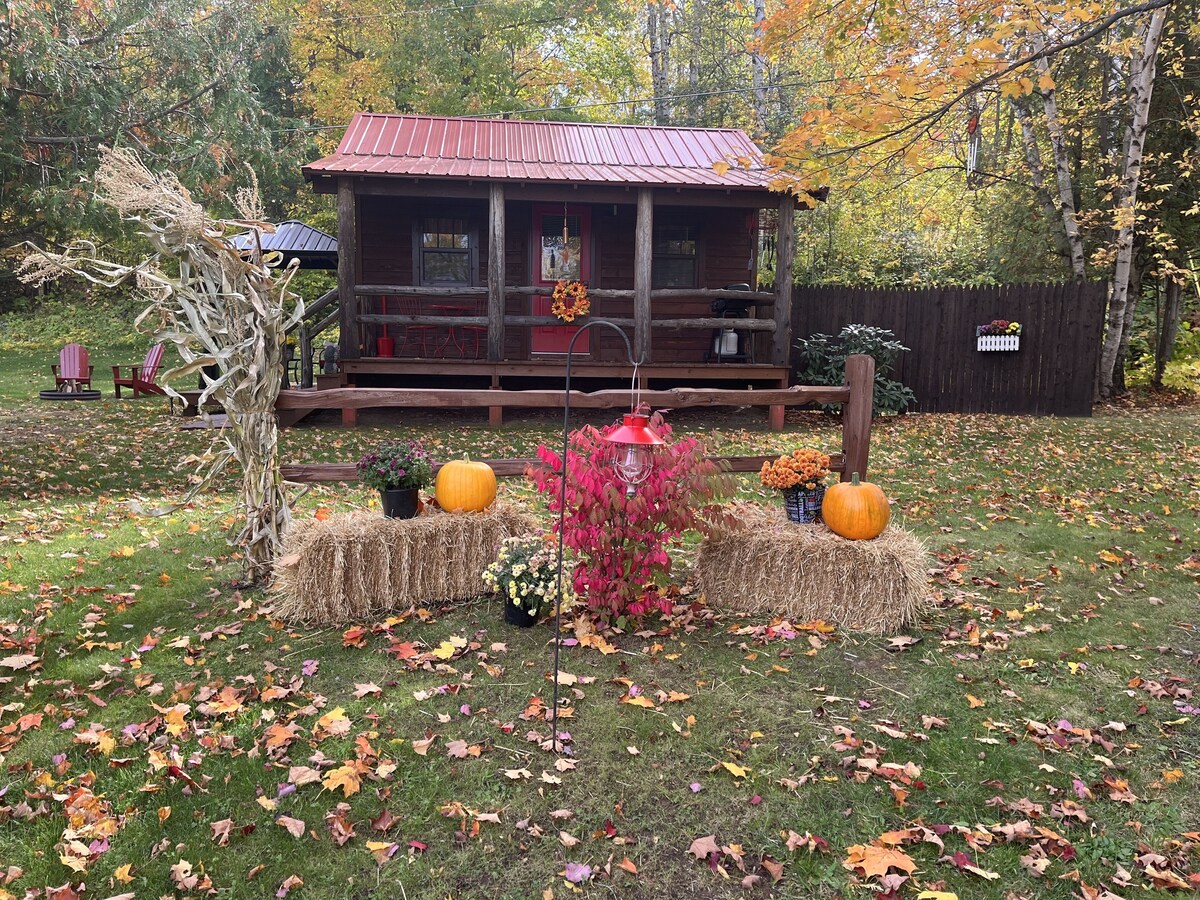 Clean & cozy couples cabin close to the Porcupine mountains~Rustic yet ...