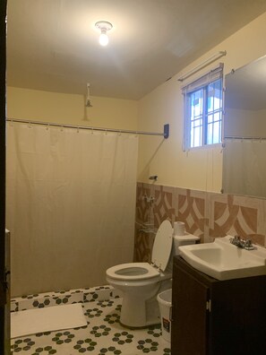 Casa de banho com chuveiro, sanita, lavatório e ladrilhos com padrão.