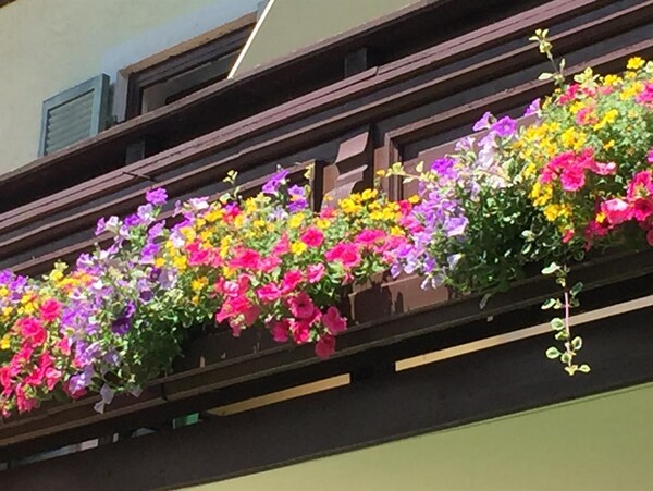 Double Room With Shower Od. Bathroom, Toilet - Lindenthaler, Guesthouse - Zell am See