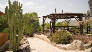 Um jardim de cactos com uma estrutura de pérgola de madeira.