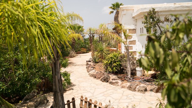 Um caminho de pedra serpenteia por um jardim com diversas plantas e um edifício branco de fachada rústica.