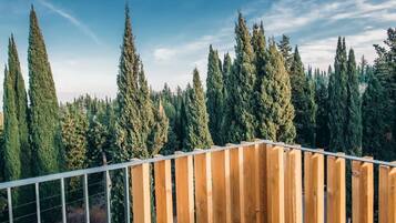Cerca de madeira com corrimão de metal, com vista para uma floresta de árvores coníferas altas.