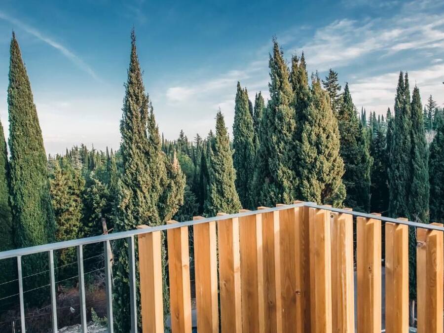 Cerca de madeira com corrimão de metal, com vista para uma floresta de árvores coníferas altas.