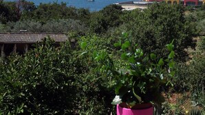 Varanda com planta em vaso, vista para área costeira com barcos e edifícios.
