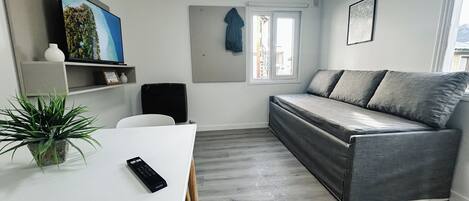 Casa, 1 quarto (Gobernador Paz 2) | Área de estar | Smart TV 42 polegadas com canais a cabo, Netflix, serviços de streaming