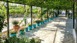 Uma galeria coberta com plantas em vasos e piso de pedra.