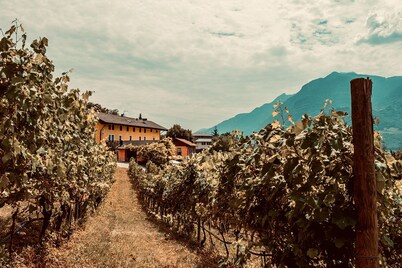 Agritur Mas Dei Chini