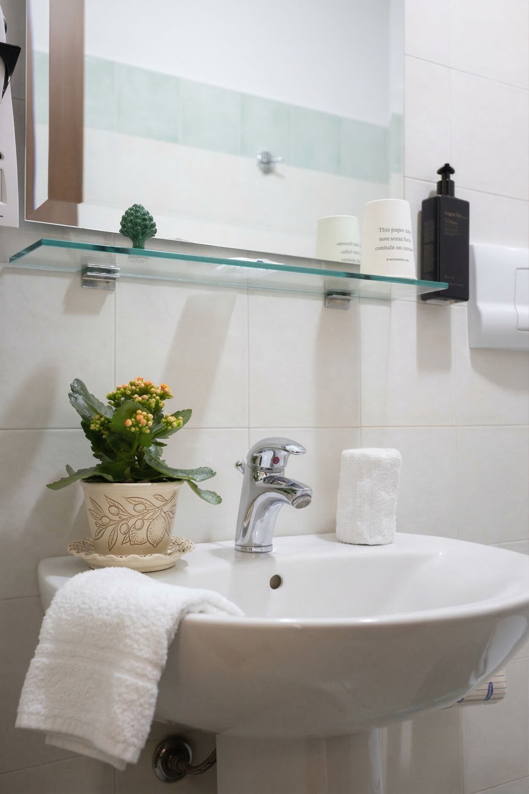 Casa de banho com lavatório branco, espelho, prateleira de vidro com artigos de higiene e uma planta em vaso.