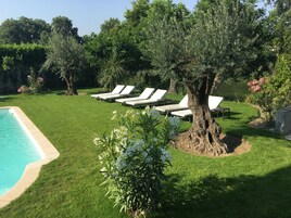 Área da propriedade