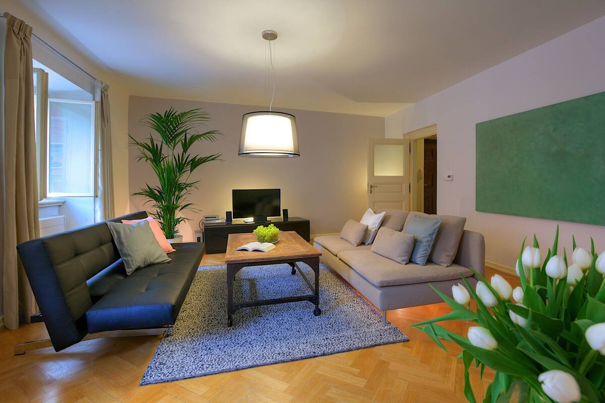 Superior Apartment - Superior (3th flr, elevator) | Sala de estar | TV de ecrã plano, leitor de DVD 
