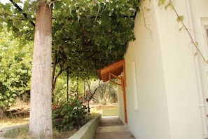 Jardim