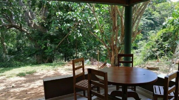 Uma mesa de madeira redonda com quatro cadeiras, disposta ao ar livre sob uma estrutura verde, cercada por vegetação densa.