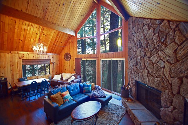 Lake Arrowhead Mountain Chalet In The Treetops With Lake View - Lake Arrowhead, CA