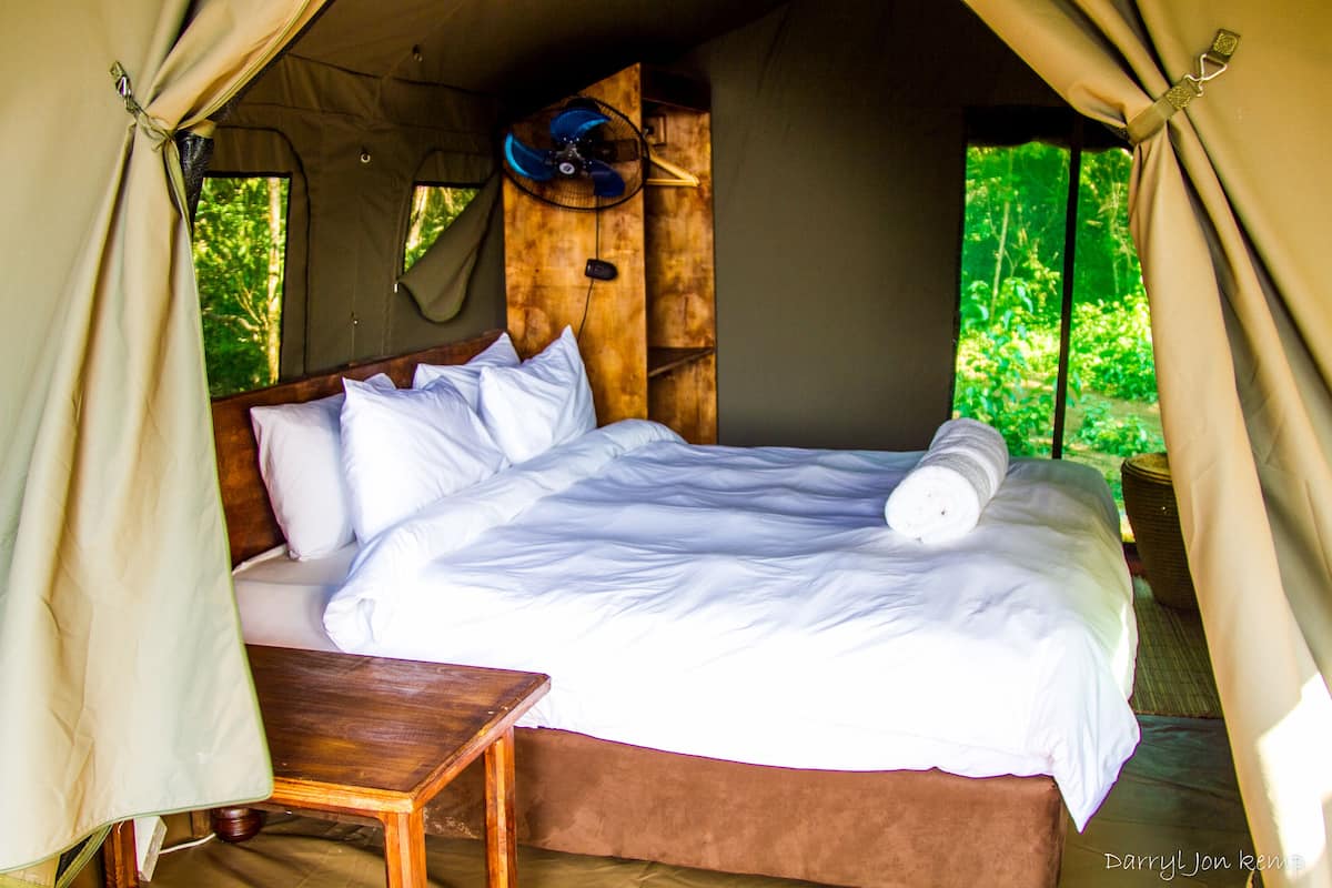 Quarto com tenda, cama, mesa e ventilador.