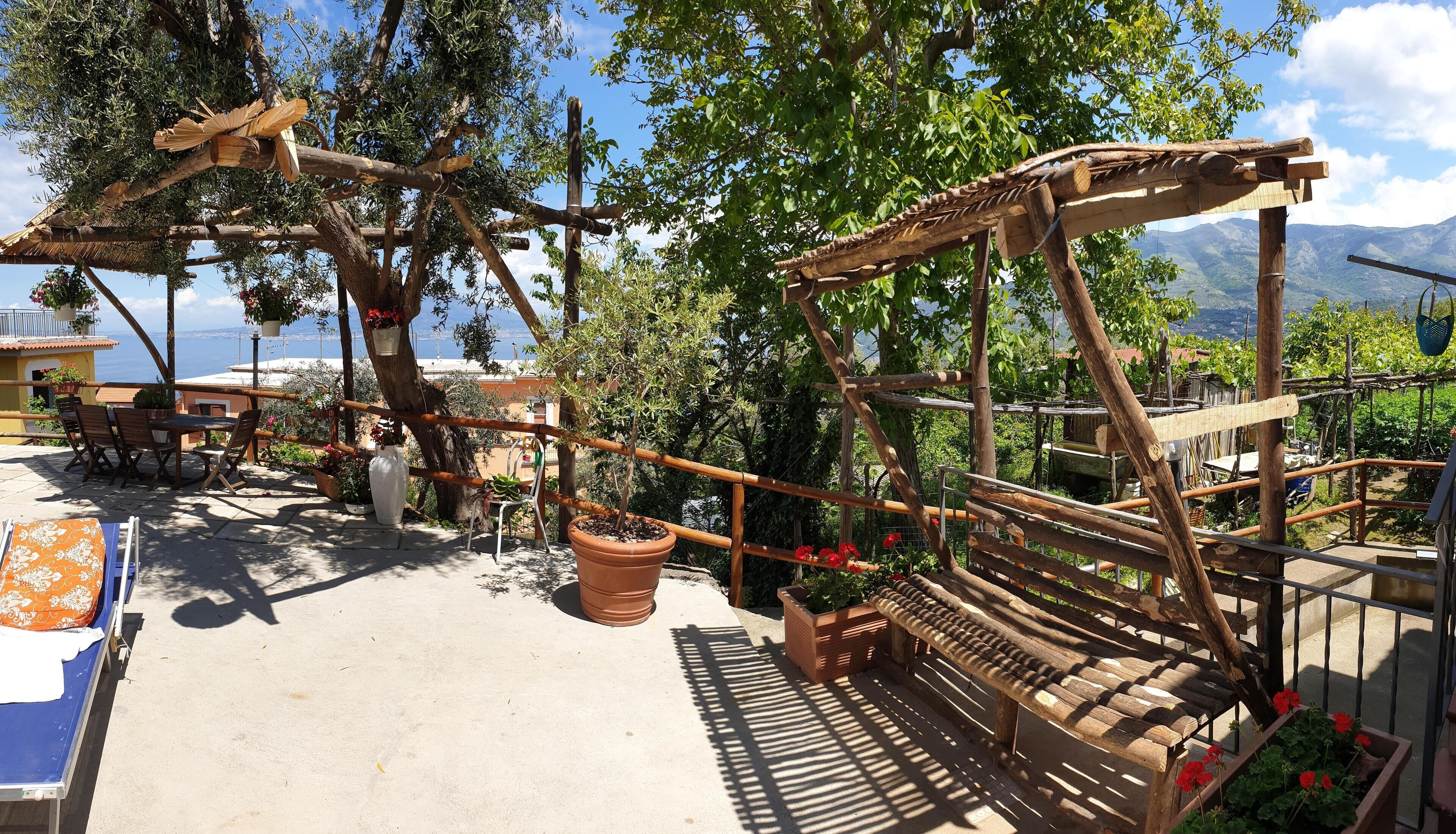 The lemon grove of the Aprea family, Sorrento: Room, Prices & Reviews ...