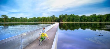 Uma pessoa anda de bicicleta em um caminho de concreto ao lado de um lago calmo, cercada por árvores verdes densas.