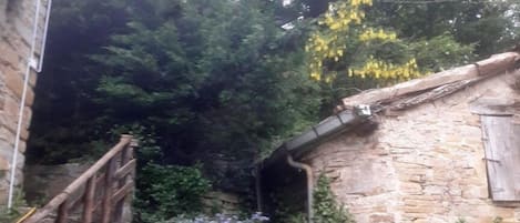 Jardim