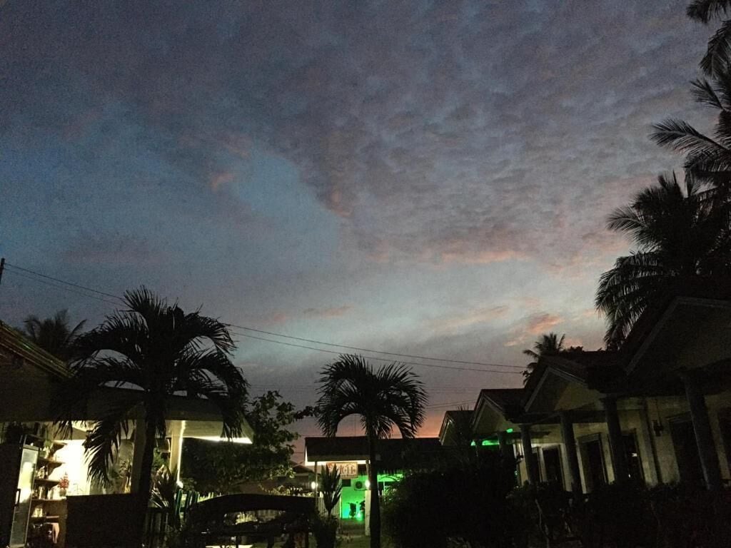 Bairro residencial com casas e palmeiras ao entardecer.