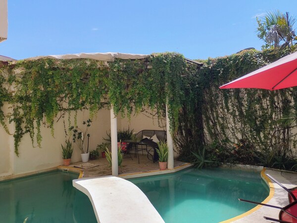 Pecari Bed And Breakfast - Cancún
