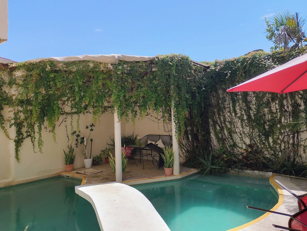 Pecari Bed And Breakfast - Cancún