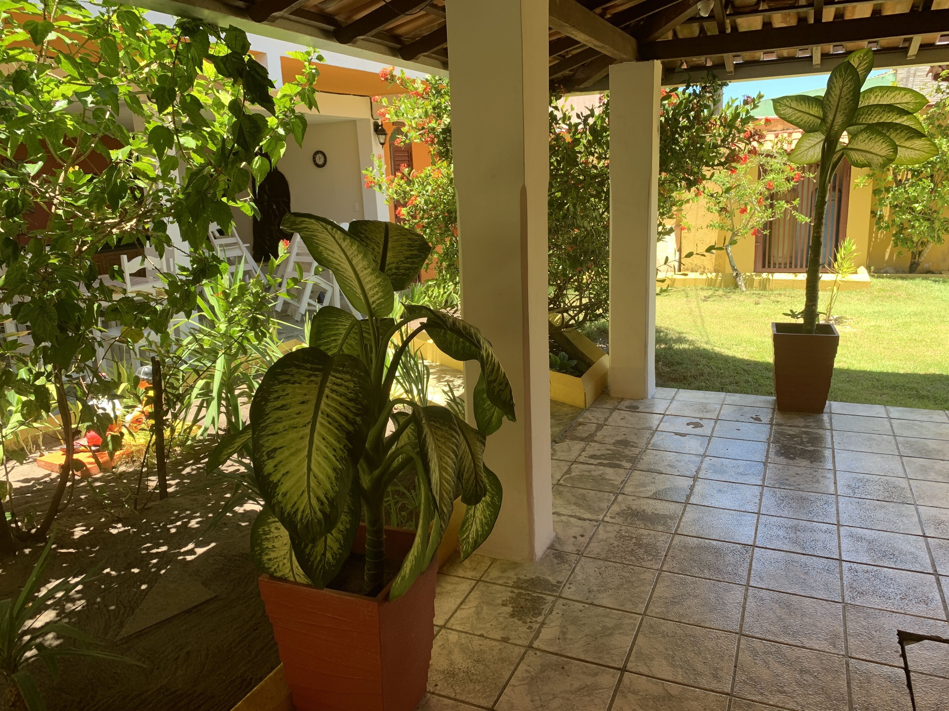 Área de varanda coberta com plantas em vasos, piso de azulejos e vista para um jardim.