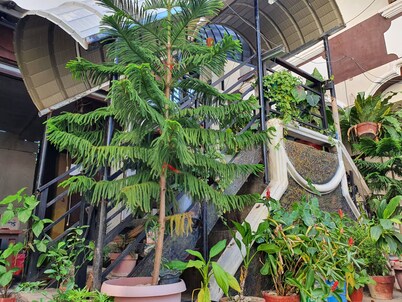 Casa Sarmiento Travelers Inn