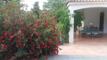 Pátio com mesa e cadeiras, cercado por um arbusto vermelho florido e exuberante.