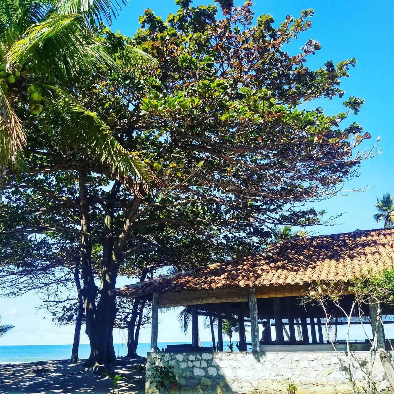 Uma estrutura à beira-mar com telhado cerâmico, rodeada por vegetação exuberante e palmeiras.
