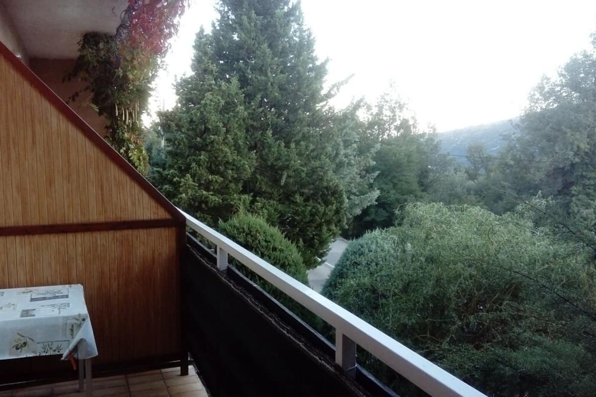 Varanda com guarda-corpo de madeira com vista para uma área arborizada.