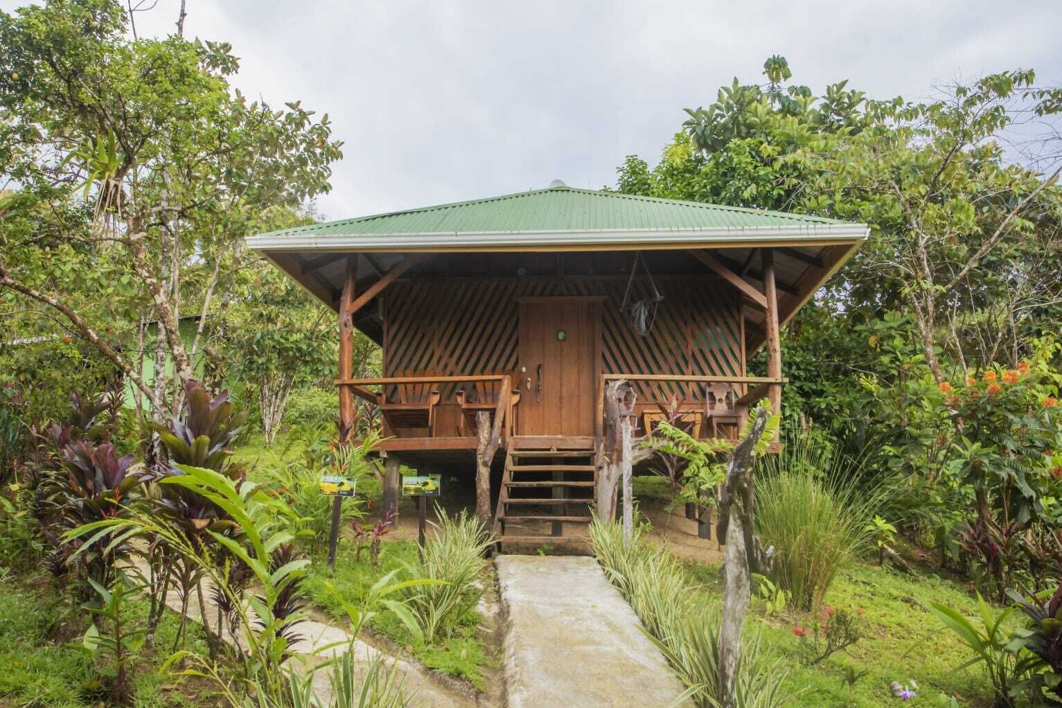 Uma cabana de madeira com telhado verde, rodeada por vegetação exuberante e um caminho de concreto que leva à entrada.
