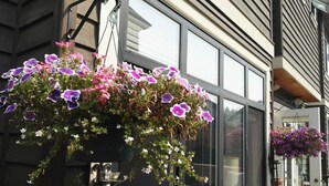 Uma cesta suspensa com flores roxas e brancas em frente a uma janela.
