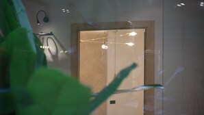 Interior moderno com porta de madeira, luminária pendente e planta em primeiro plano.