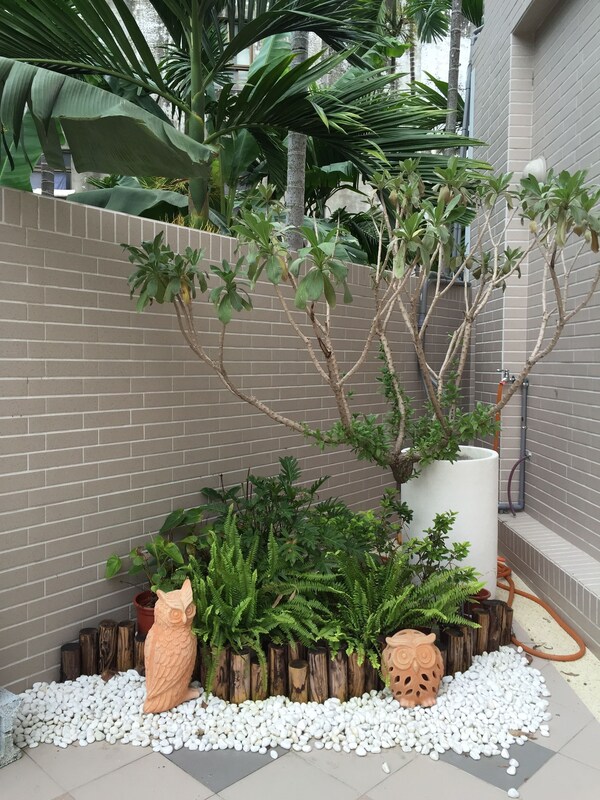 썸머레 No 11 호스텔 - 차오저우 진