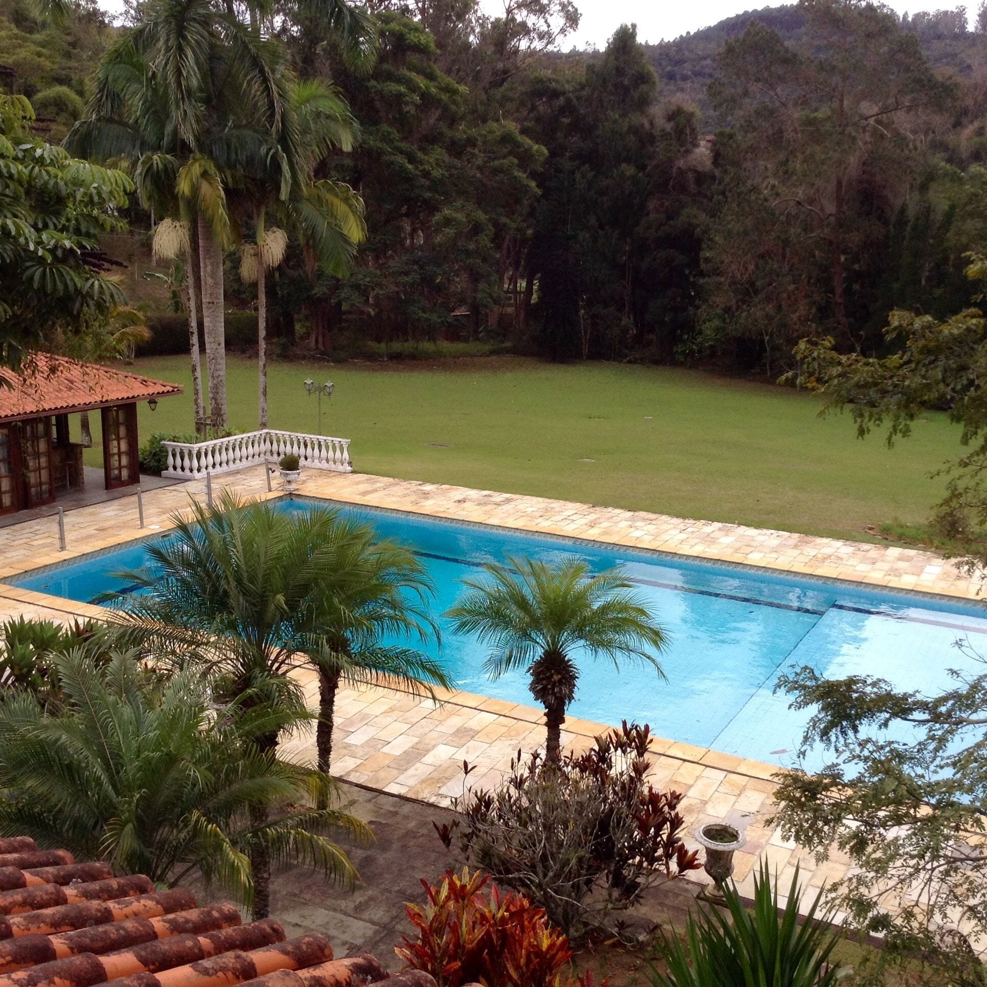 Uma piscina com deck ladrilhado, cercada por palmeiras e um gramado.