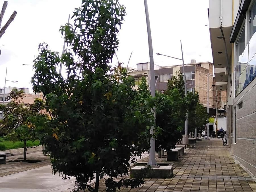 Pormenores do exterior