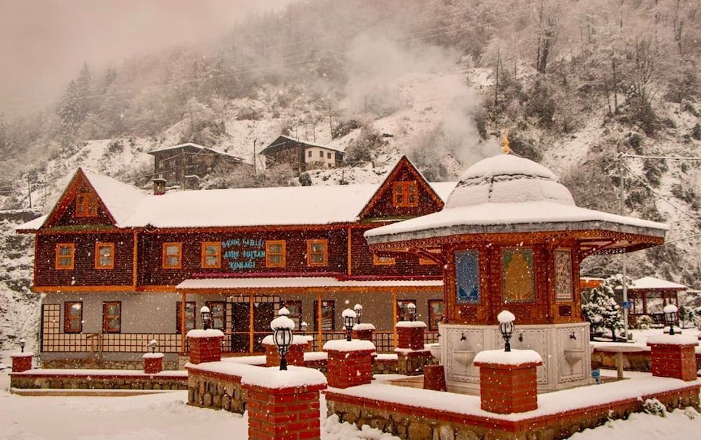 アディレ スルタン コナギ - リゼ