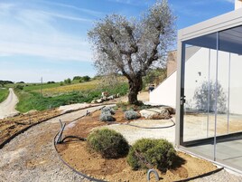 Um edifício moderno com porta de vidro, um jardim ajardinado com uma grande árvore e um caminho de terra que leva a um veículo.