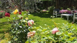 Um jardim com gramado, bancos e plantas floridas.