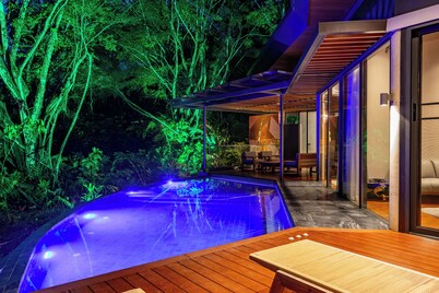 Noah's Forest by Tifakara