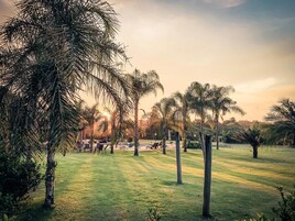 Área da propriedade